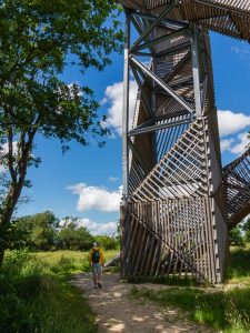 Natuur in Groningen stad: Dit zijn de fijnste plekjes